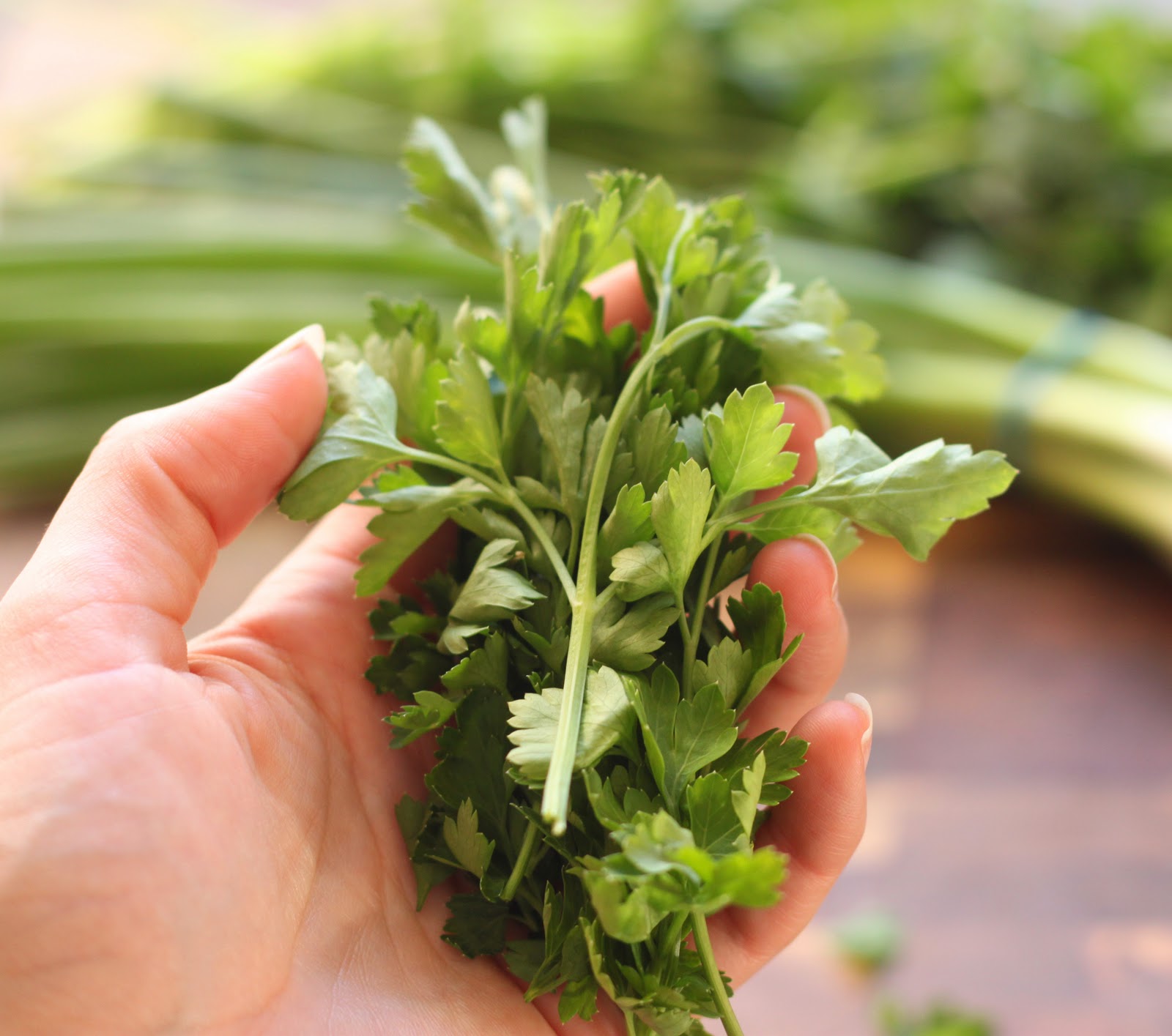 The Cilantropist: Easy Herbed Yogurt Dip, and another Chobani Greek ...