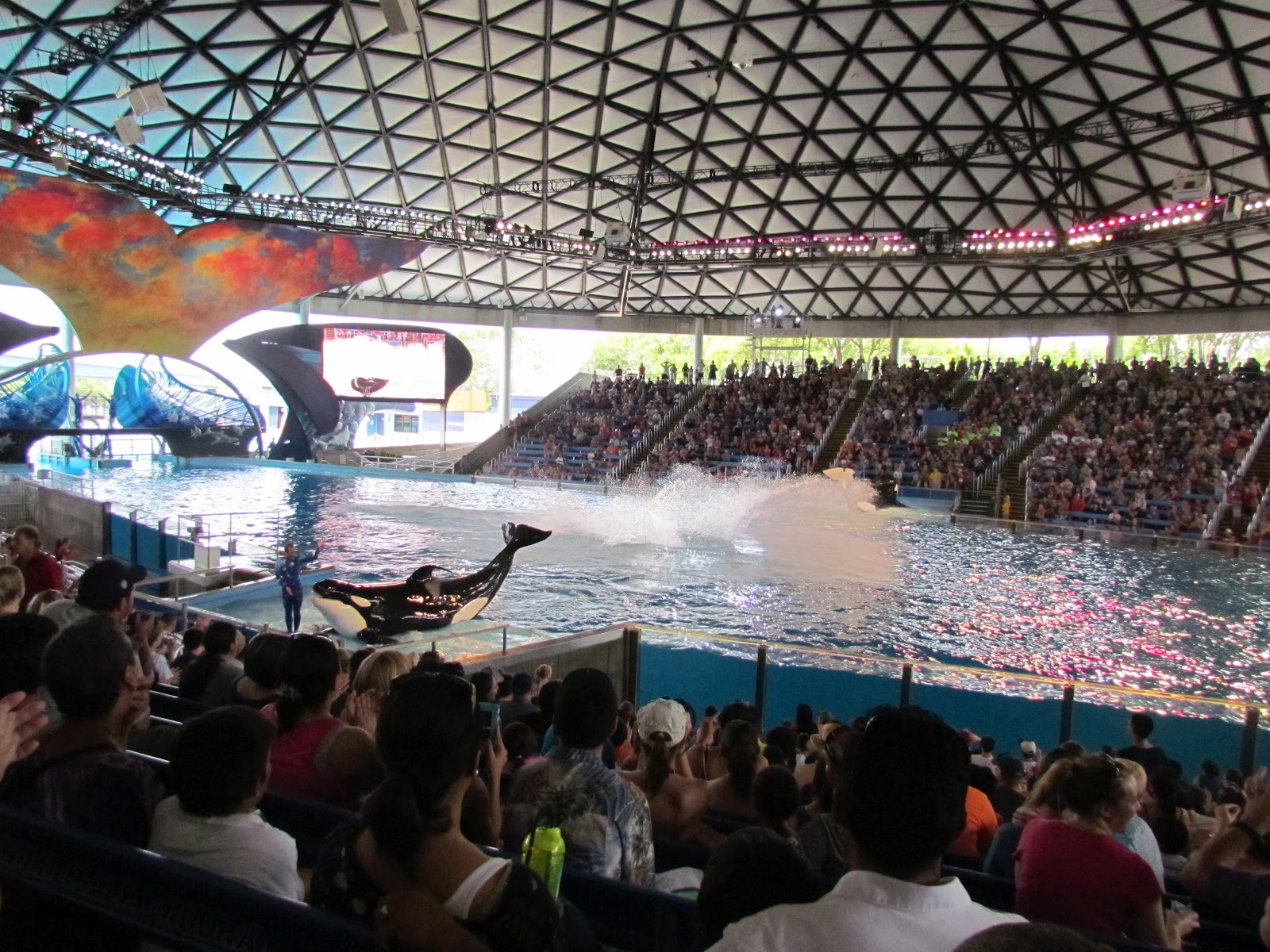 The Nelsons: Sea World - Shamu