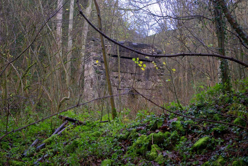 Out & About: Lathkill Dale & Mandale Mine Sough