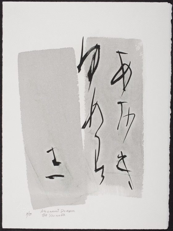 Printmakers You Should Know: Tōkō Shinoda