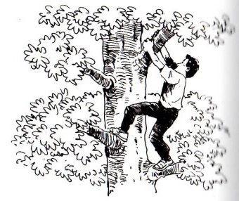 PPM 01 Seremban Timur Negeri Sembilan: HALANGAN KOMANDO