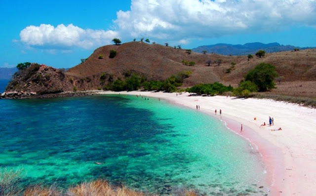 Tangsi Beach With color of sand is pink (Pink Beach) East Lombok