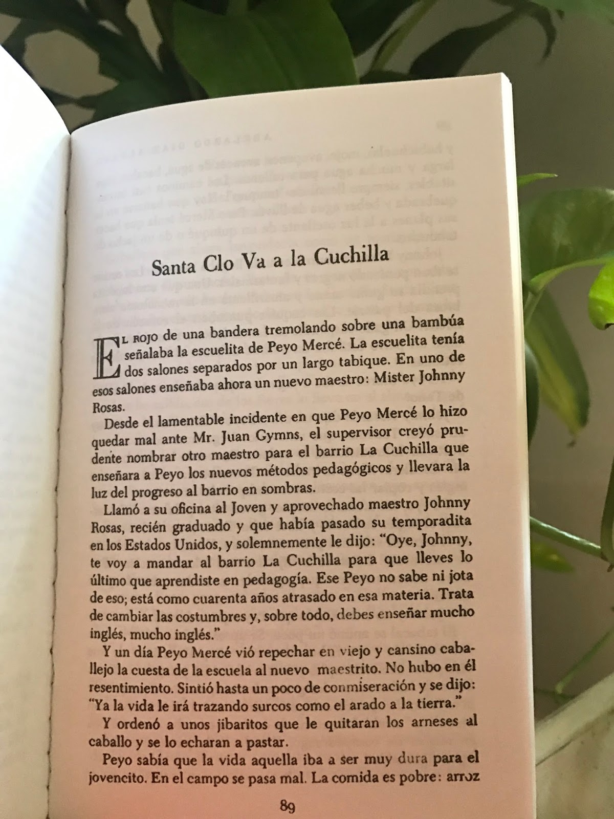Historias sobre todos: Mi Isla soñada y Terrazo por: Abelardo Díaz Alfaro