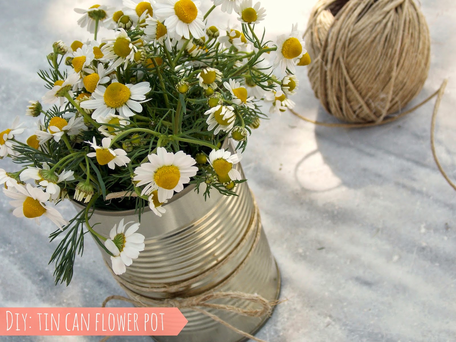 DIY: Tin can flower pot - The girly Bible