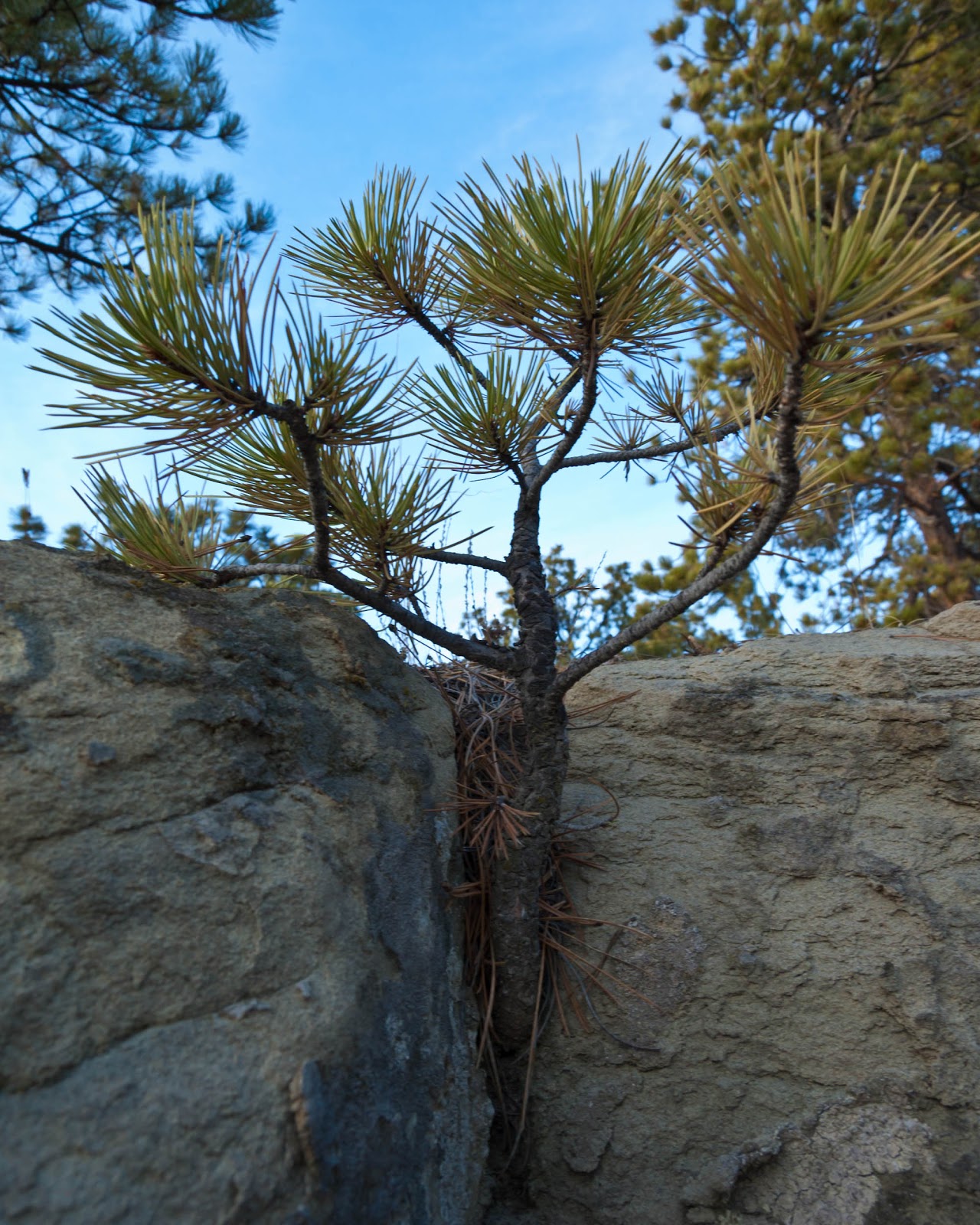 Erin's Photography 2012