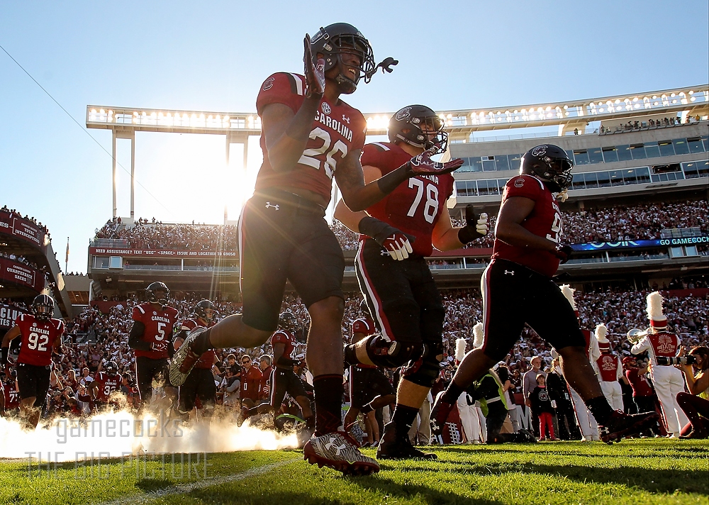 Gamecocks-The Big Picture