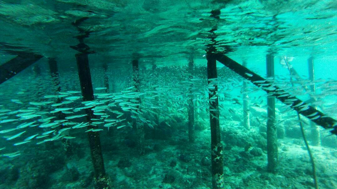 TopWisata Kutai Timur Eksotis - TOPWISATA.INFO