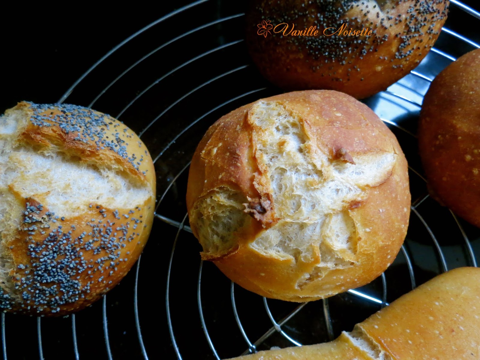 Vanille Noisette : LE PAIN BÂTARD