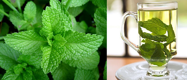 Cup of Beautiful: July 2011