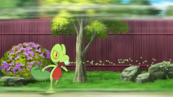 Poké-Arquivo: 252 - Treecko ~ Pokémonster Dex || Acervo de Imagens de ...