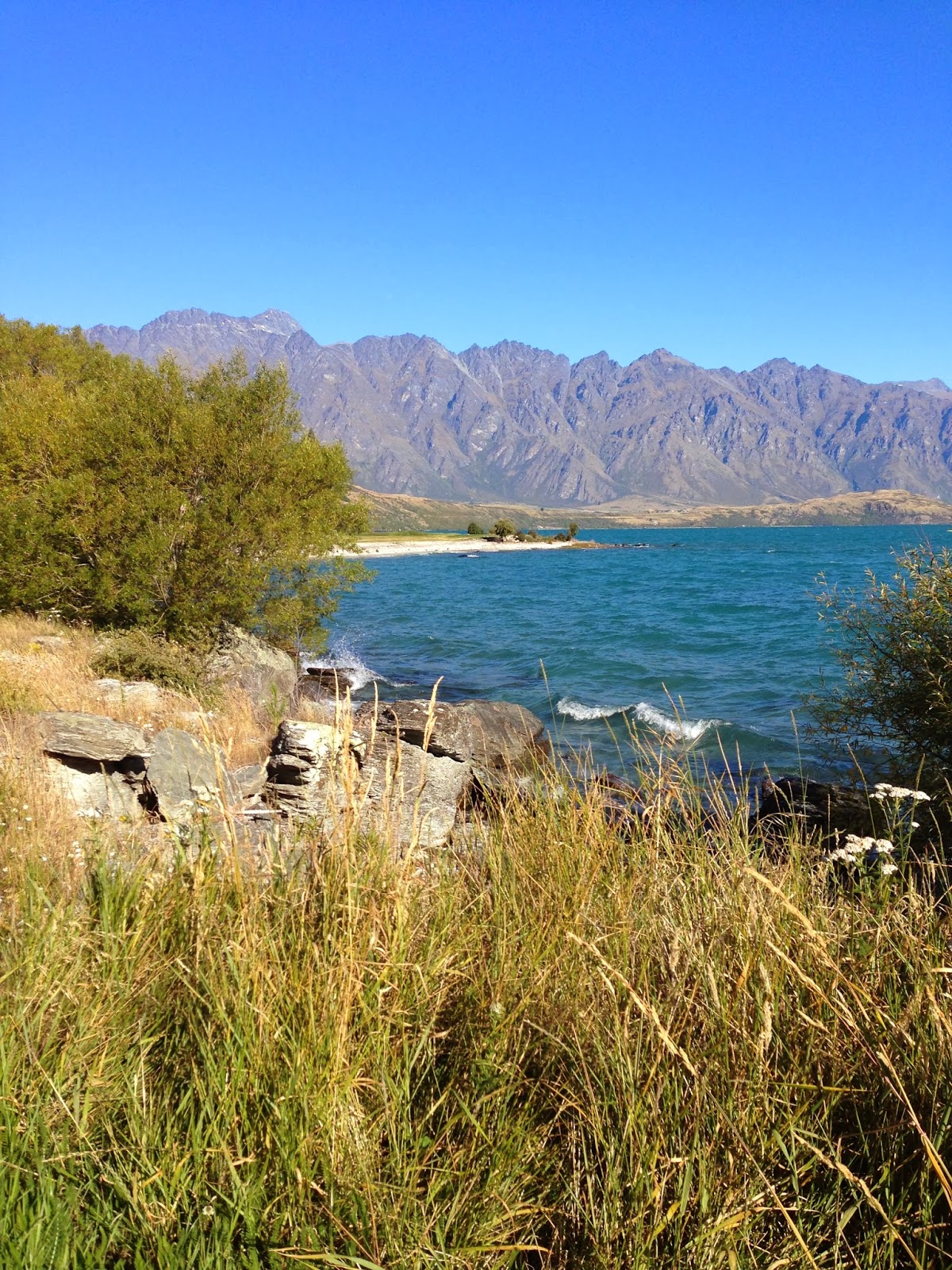 Come, walk with me.: Frankton Arm Walking track - Kelvin Peninsula