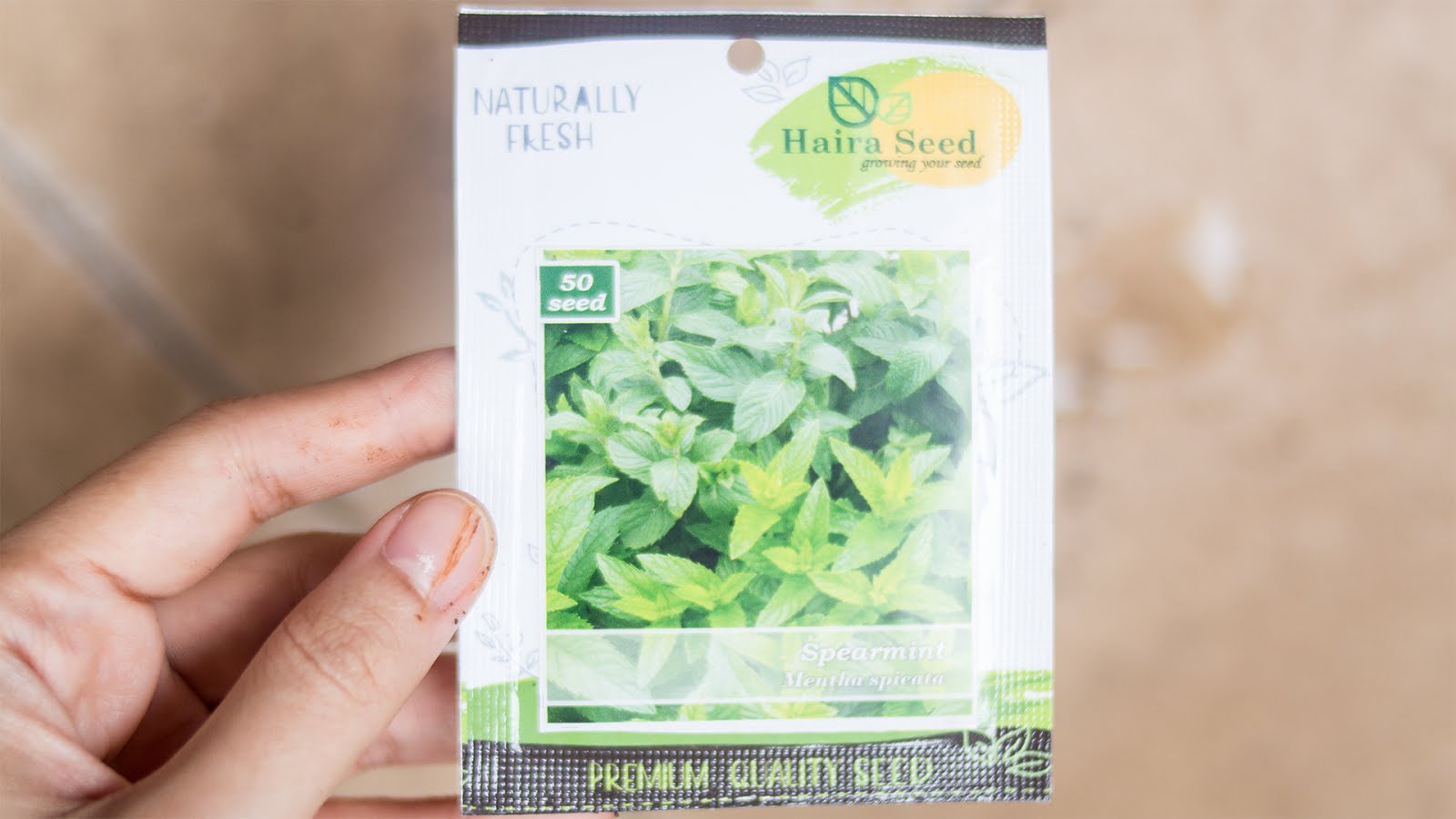 Menanam Mint dari Biji - Proses Semai | Herb Series