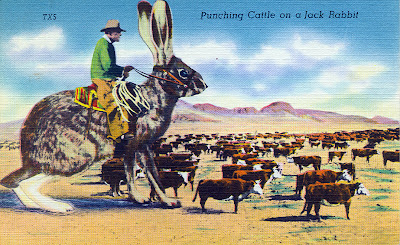 Tracy's Toys (and Some Other Stuff): Giant Jack Rabbit Postcard