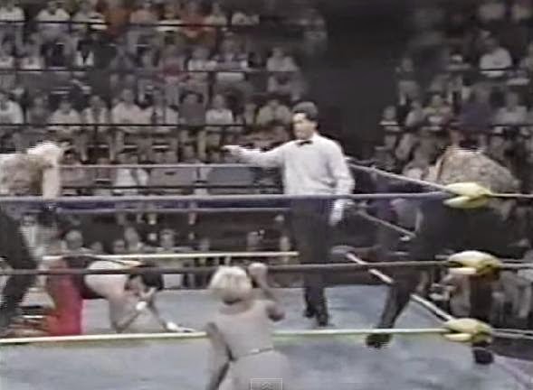 Cheating Wrestling Valets: 24. Missy Hyatt (Nasty Boys V Johnny Lorenzo ...