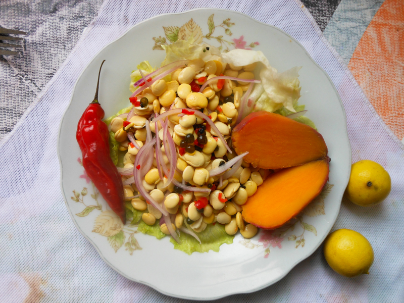 Martha Meier M.Q.: Tarwi: el alimento más completo de la Tierra