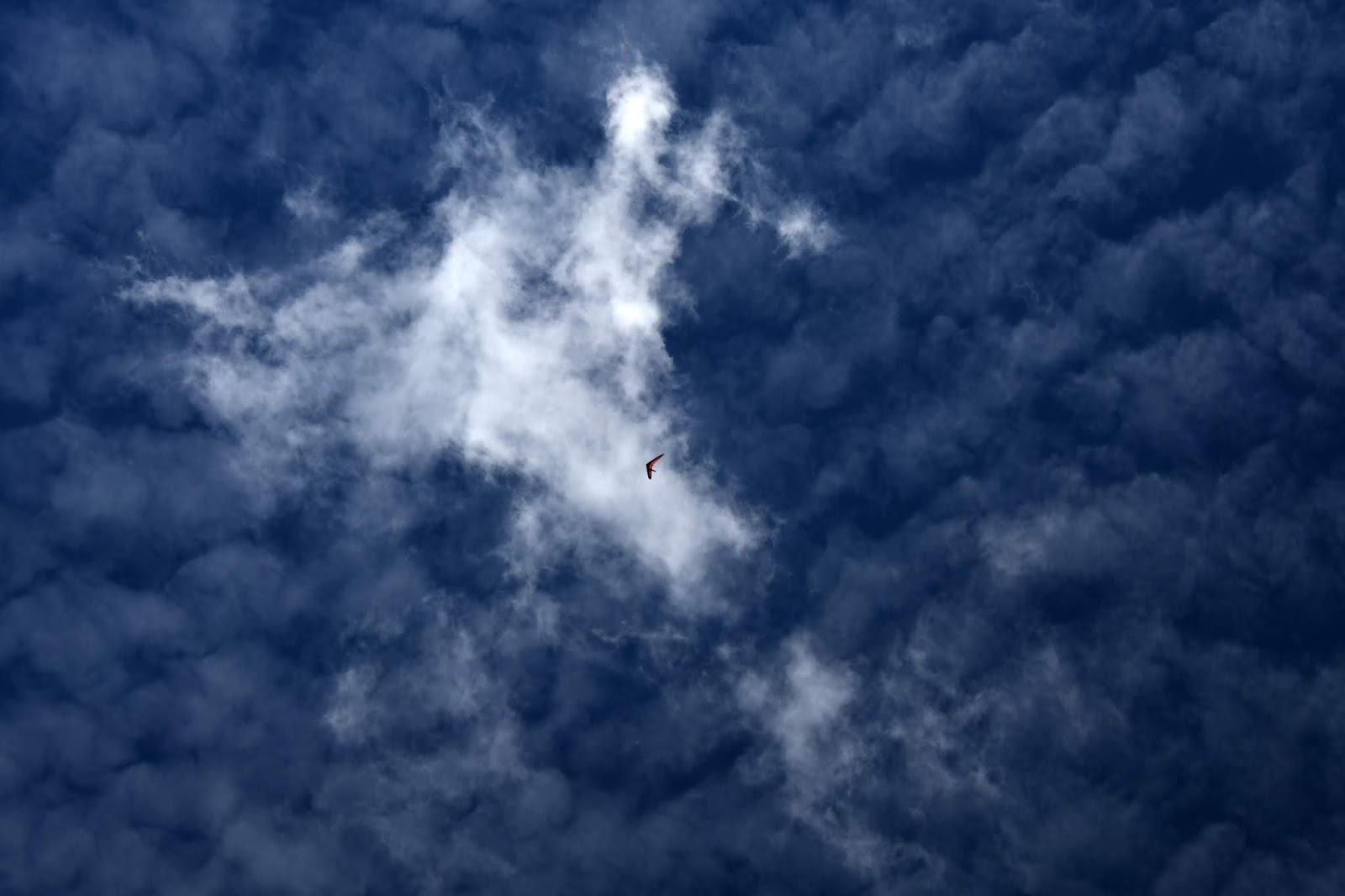 New Zealand Hang Gliding Competitions: 2019 Gallery