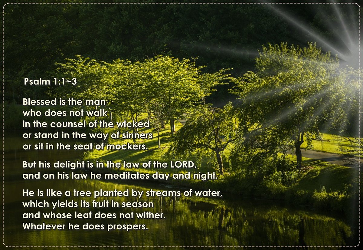 Bible Verses - Blessed is the man