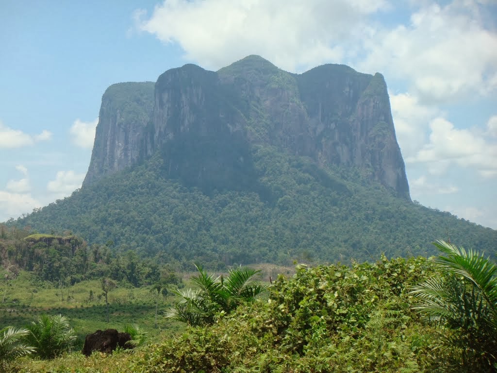 PutraRimbaBorneo: Gunung dan Pegunungan di Kalimantan