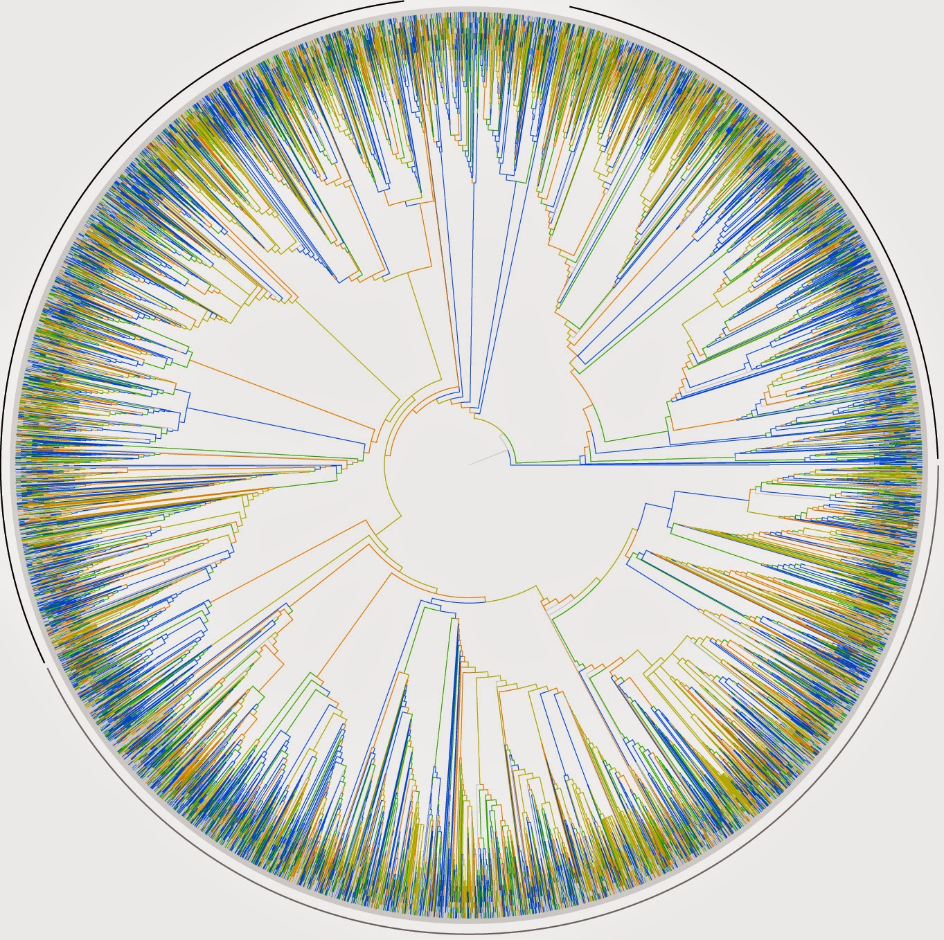 Helios Labs: Scientists Create Model Synapse: The Importance of ...