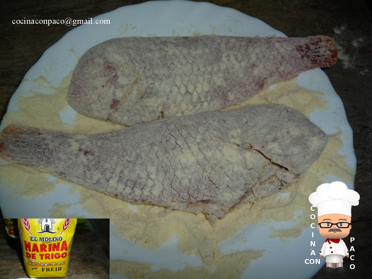 Cocina con Paco: Pez Lorito, Raor, Papagayo, Pinta o Galán