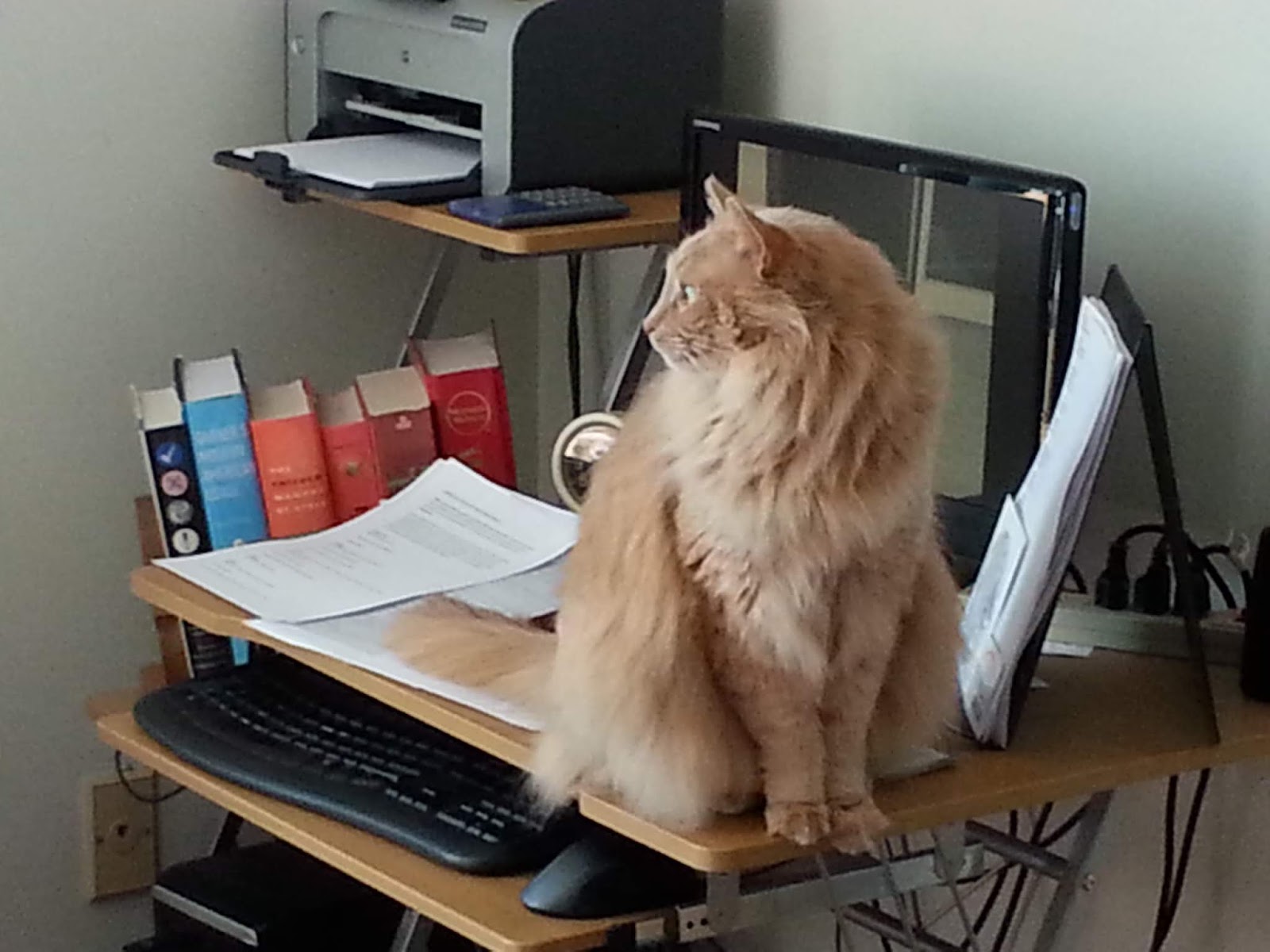 SleuthSayers: Cats and Writing