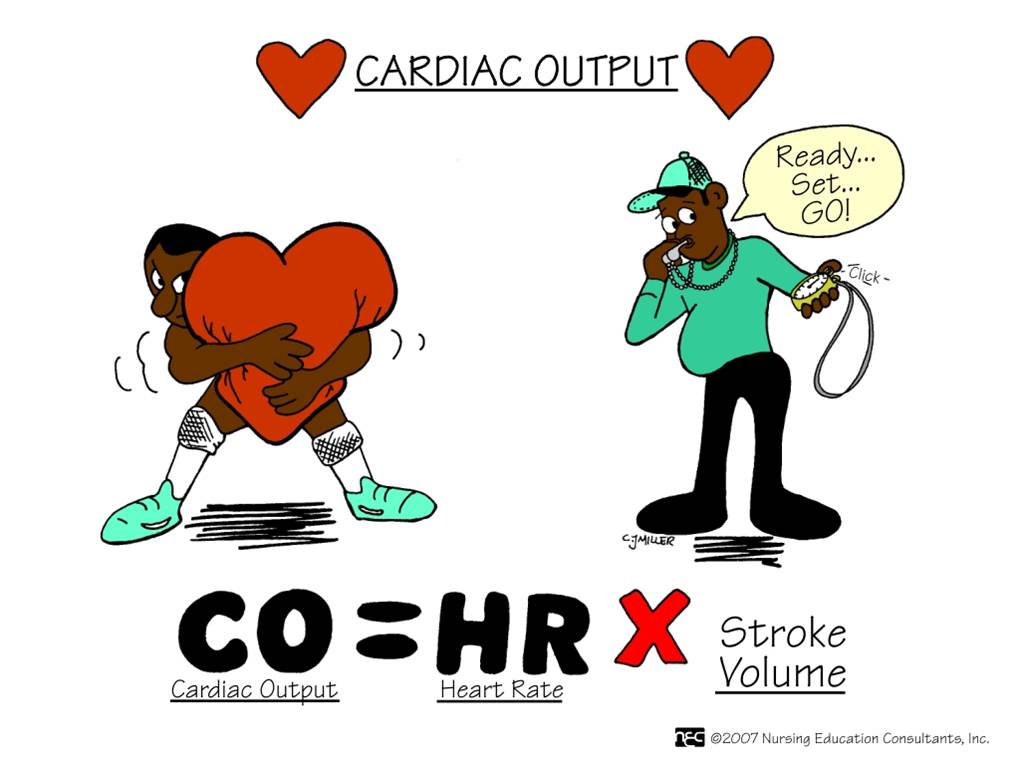 Cardiac Output-ABC Medicine