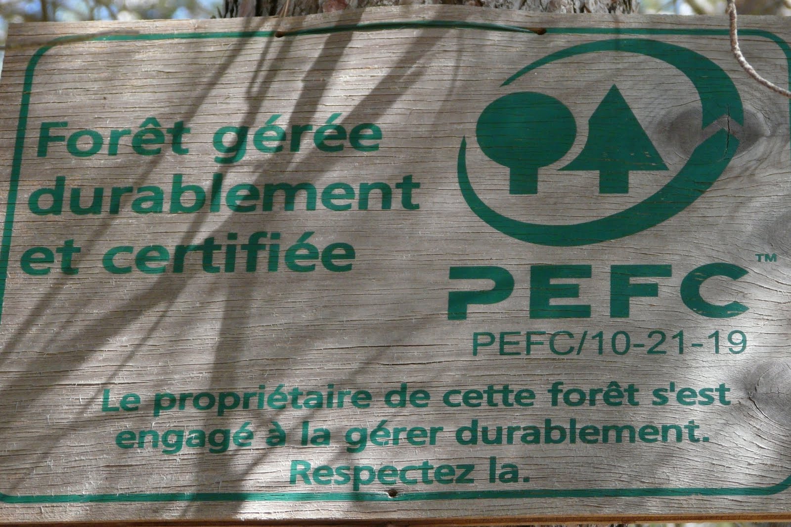 Une forêt en Provence: Forêt privée, accueil du public et réglementation