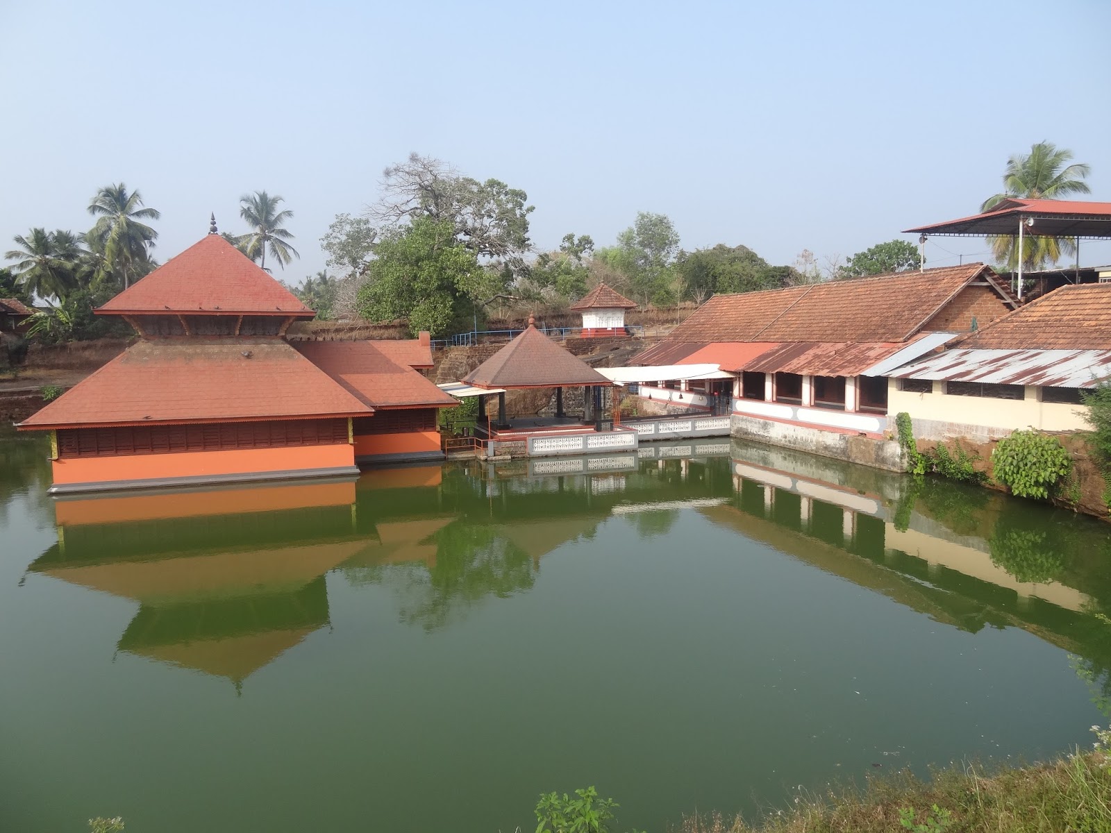 Journey is Life: Babia, the vegetarian crocodile in Ananthapur temple ...