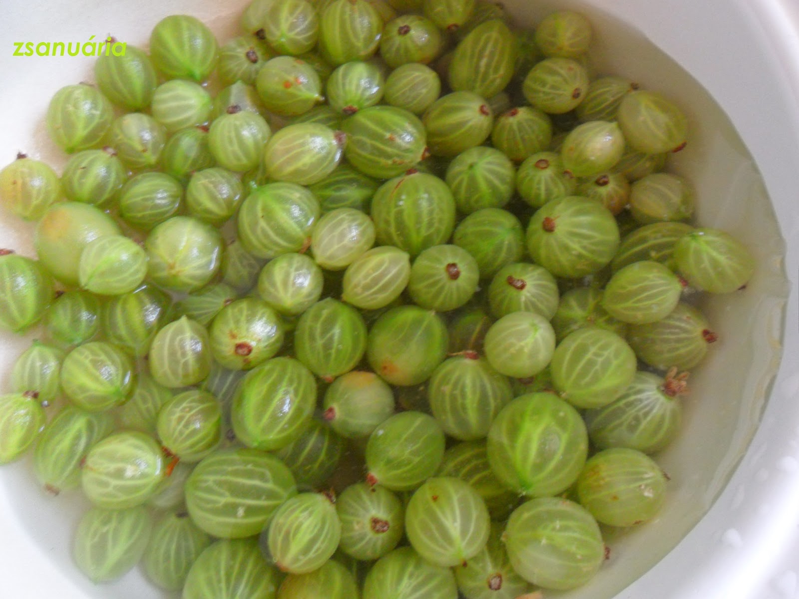 Zsanuária: Egreskrém, egres szósz, egreshab... ahogy tetszik...