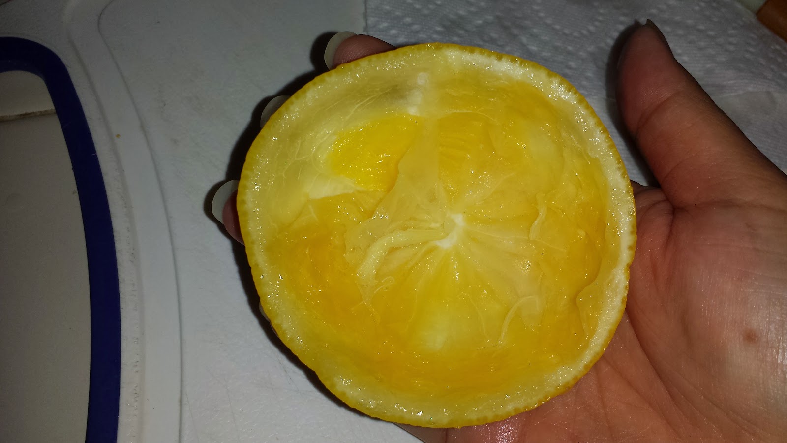 Sha Bang's Kitchen: When Life Gives You Lemons....