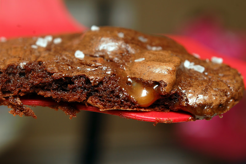 DOUBLE CHOCOLATE ROLO BROWNIE COOKIES WITH SEA SALT - Hugs and Cookies XOXO