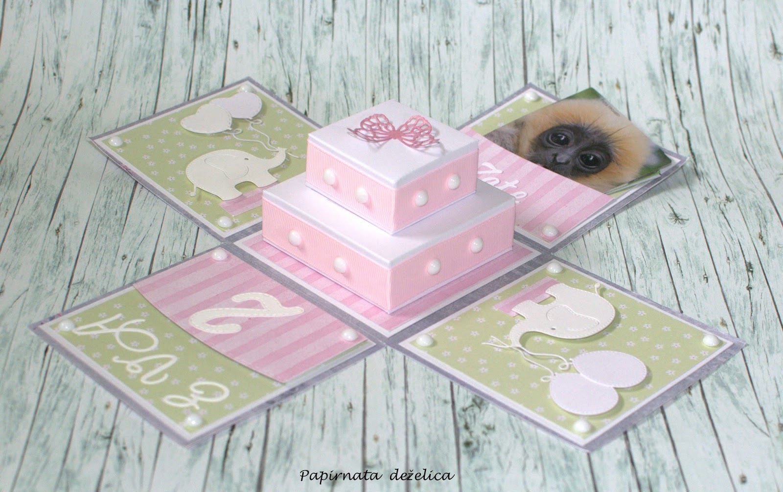 Papirnata deželica: Eva gre v živalski vrt