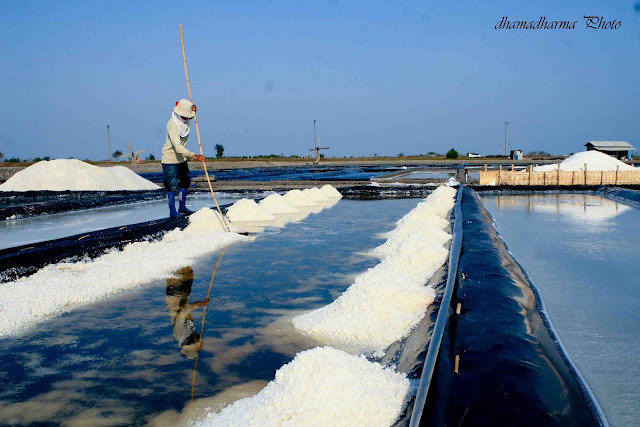 Plastik Tambak Garam: Pembuatan Garam Dengan Metode Tuf Geomembran