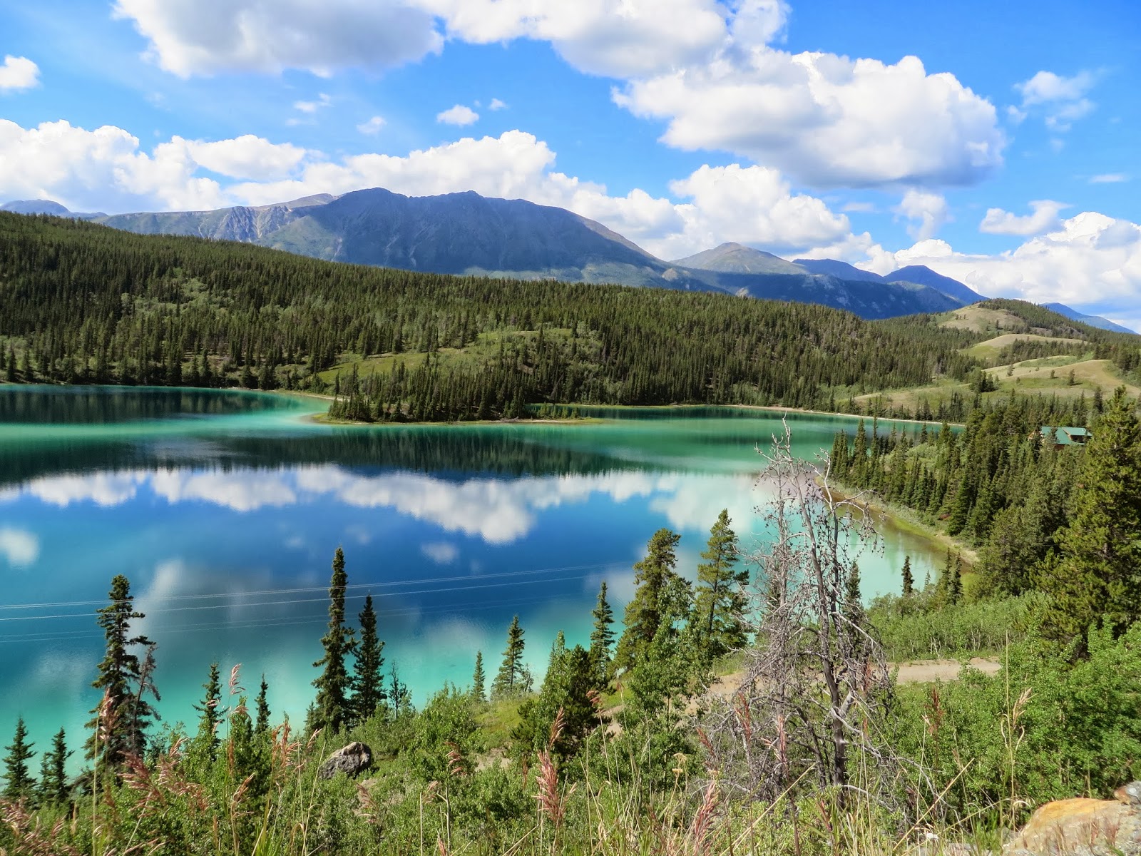 Debbie Travels - Reviews and more: Emerald Lake near Carcross Yukon