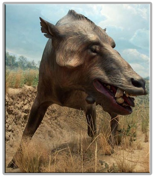 The Expeditioner's Discovery Guild: A little bit of Everything: Paleo ...