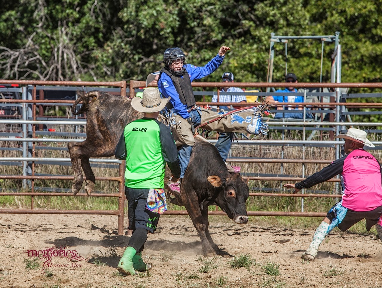 Memories Forever After Photography: Rodeo! Fun w/Fusion!