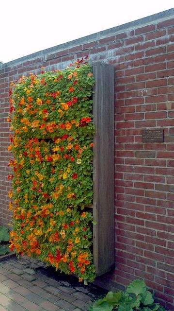 mostbeautifulbackyards: Vertical Flower Garden - a great way to grow ...