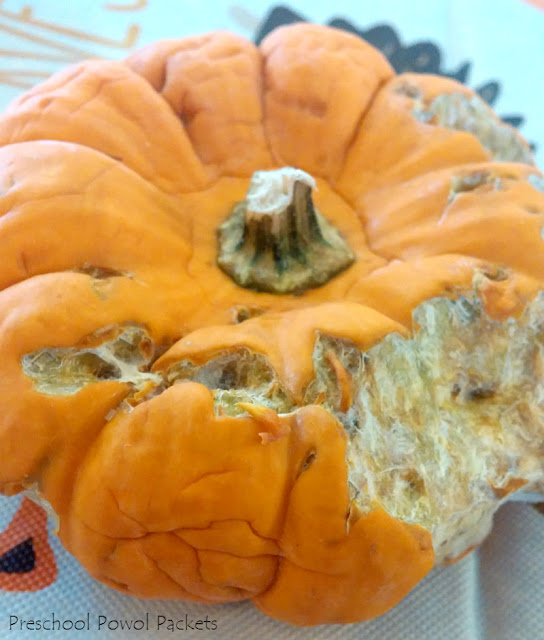 Preschool Pumpkin Skin Experiment ~ Preschool Science | Preschool Powol ...