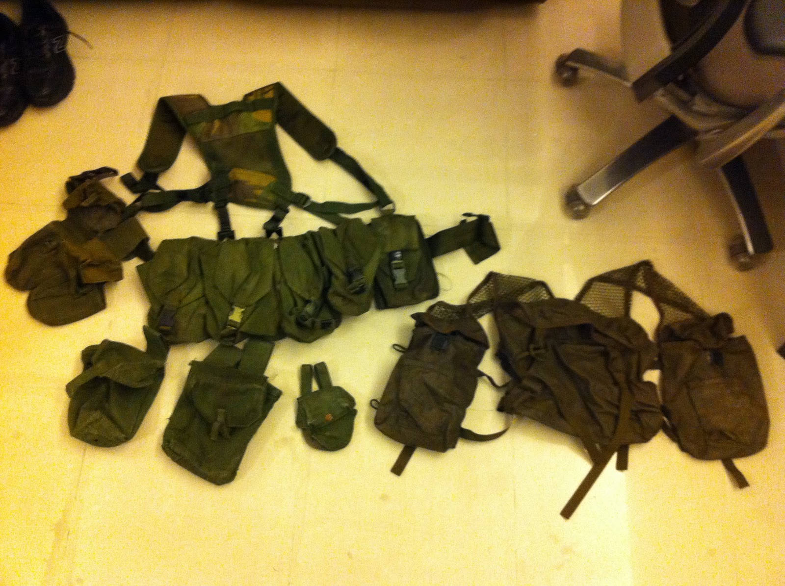 What I Saw:: SAS Webbing