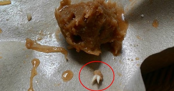 Ada Bakso isi Gigi Tikus di Jimbaran? - akriko.com