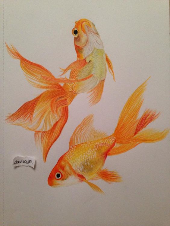 Riverwood Studio: Intermediate Art Assignments