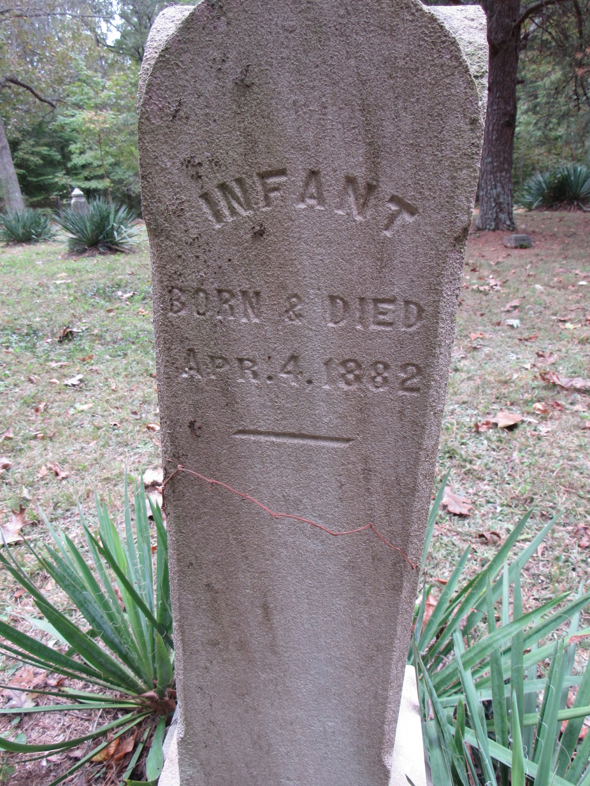 A Walk Through The Tombstones: Friendship Cemetery