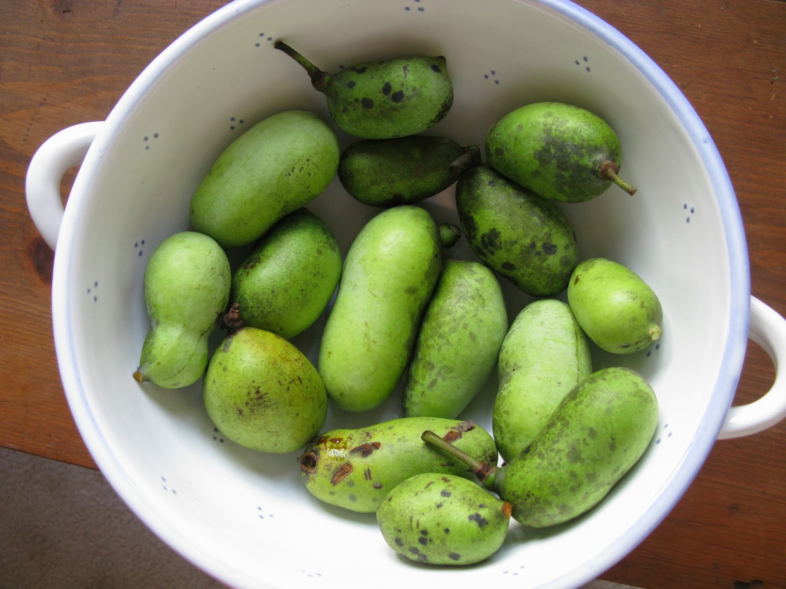 Two Peas in a Pod: Paw Paws Part 2: Smoothie Adventure