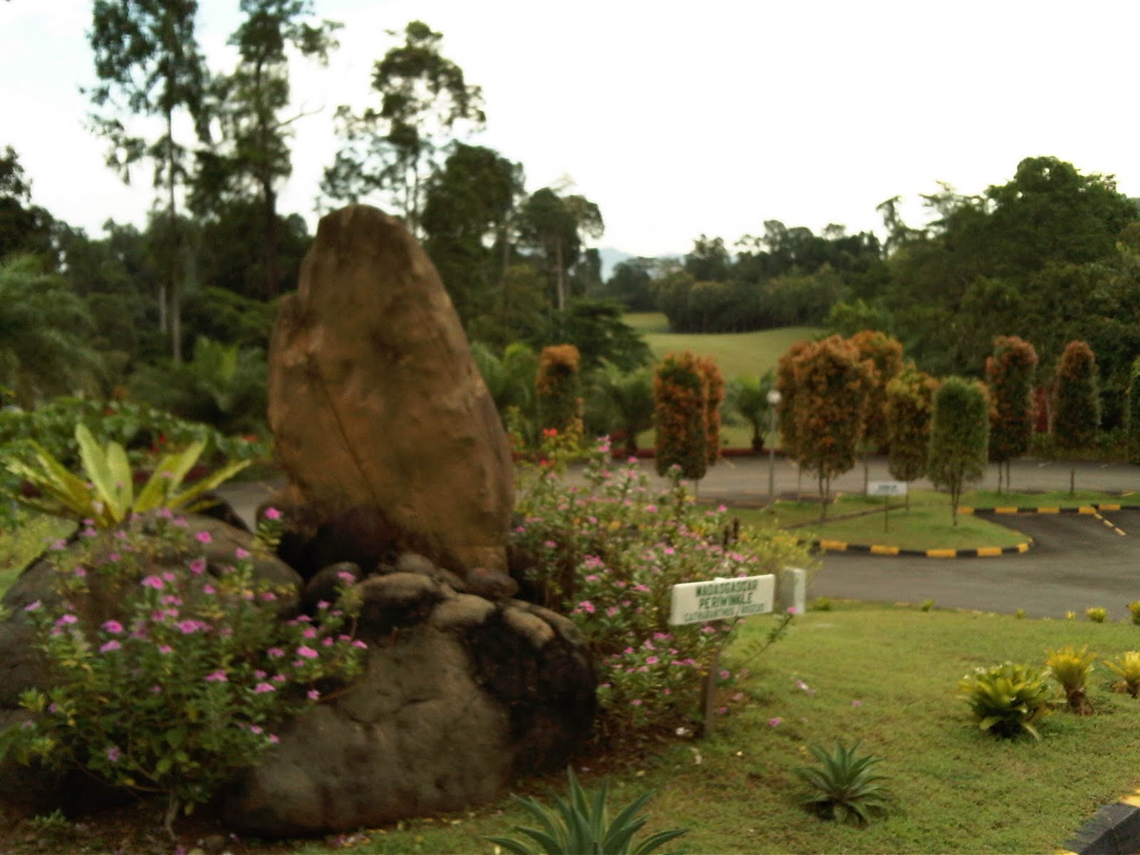 Going Places: Tawau Hot Spring Golf Club