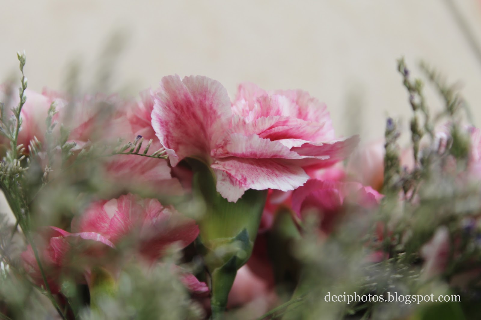 Deci Photos: Real Flower Photoshoot