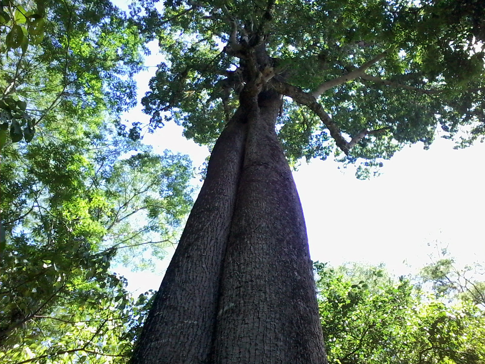 Parque Estadual do Sumidouro