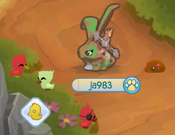 The Animal Jam Friendship Community: Cutest things around Animal Jam