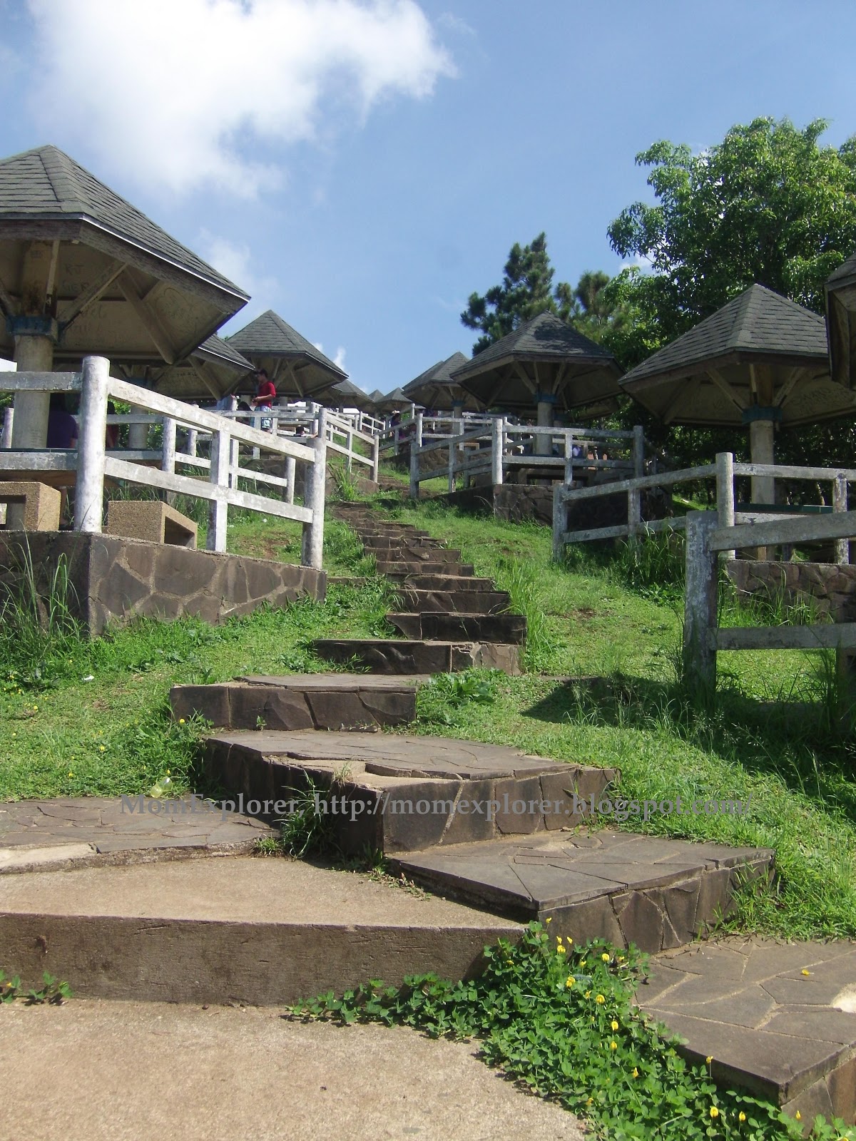 The Picnic Grove: Budget Place to Hang Out in Tagaytay | MomExplorer