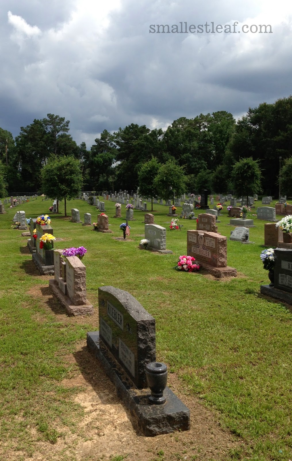 100 Years in America: Little girls, family trees and a cemetery trip