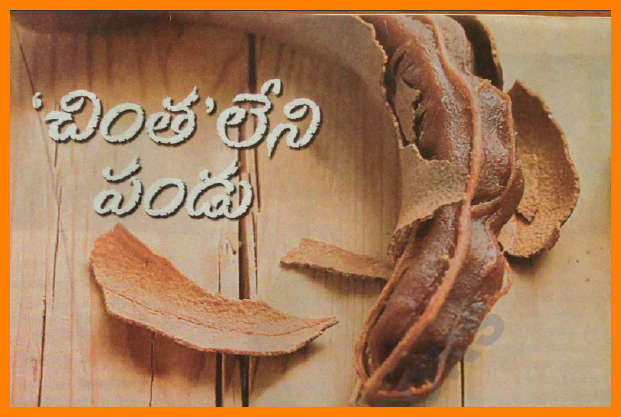 TELUGU WEB WORLD: HEALTHY USES OF TAMRIND / CHINTHA PANDU UPAYOGALU